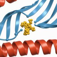 凝胶过滤层析（Gel Filtration Chromatography, GFC） - 知乎