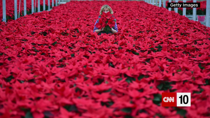 CNN 10 - December 3, 2020 - 知乎