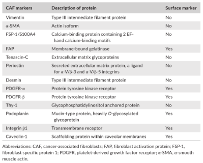 文献(2): 综述_癌症相关成纤维细胞(CAF)的异质性【建议收藏】 - 知乎