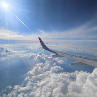 【Isaac Sim 4.5.0】Tools and Tutorials - Python Scripting - Core API Tutorial Series - Hello Robot ...