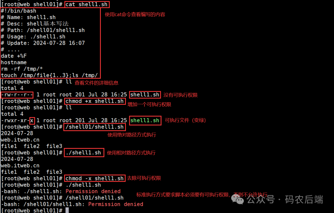 什么是Shell？怎么编写和执行Shell脚本？ - 知乎