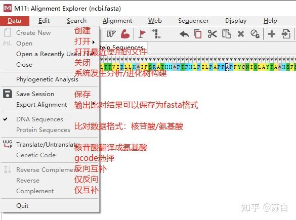 MEGA：安装与序列比对Align - 知乎
