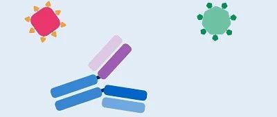 Single-Chain Fragment Variable (ScFv) - 知乎