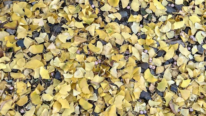 Elasticsearch filter context 的实践案例 - 知乎