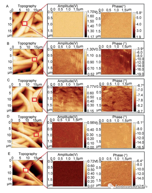 《ACS AMI》：压电聚合物复合材料与间充质干细胞相互作用研究 - 知乎