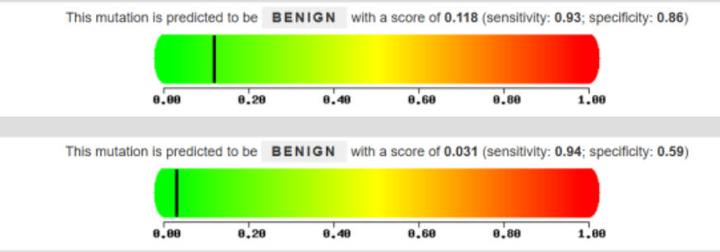 PolyPhen-2 预测突变对蛋白功能的影响 - 知乎
