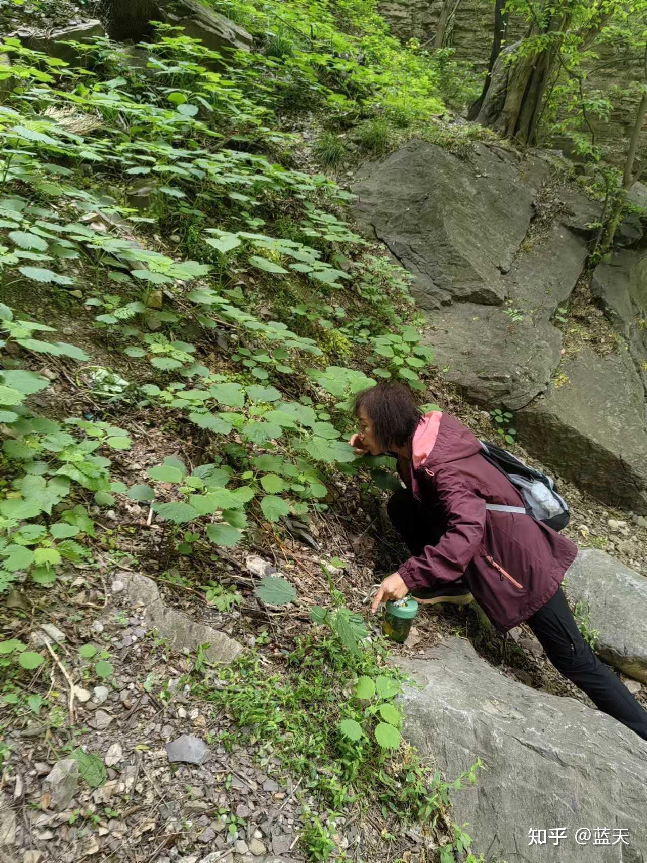 大学生去兼职丢人吗？ - 知乎