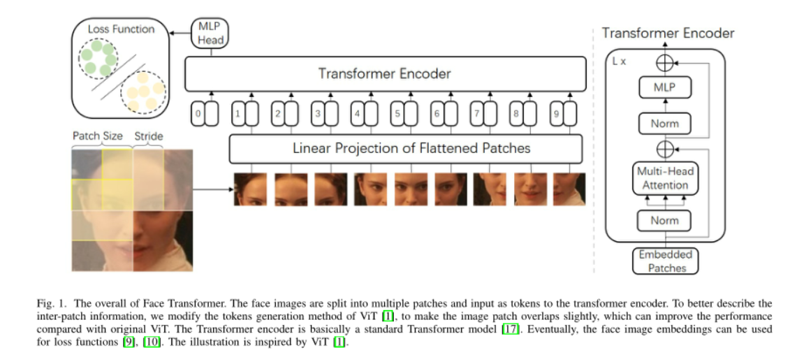 Face Transformer for Recognition - 知乎