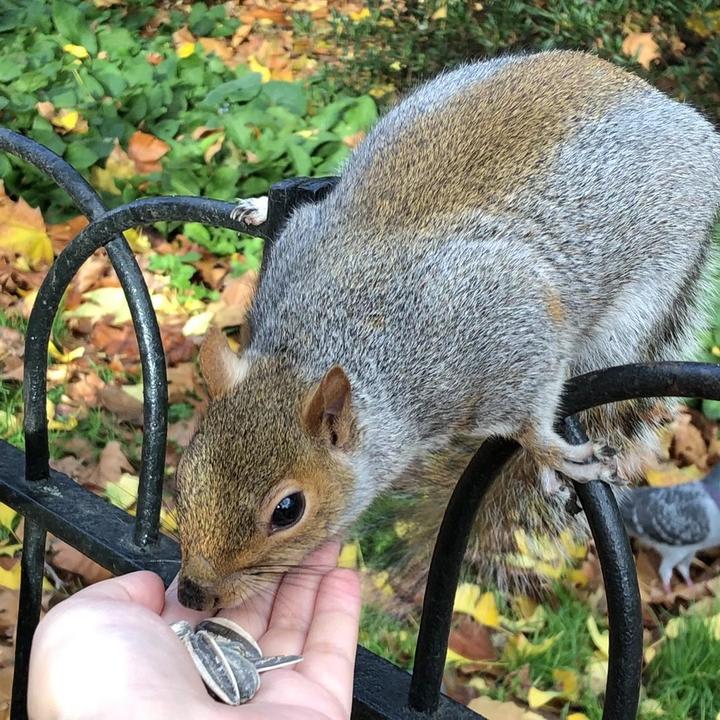 22fall英硕申请材料准备和时间规划（最新）！ - 知乎