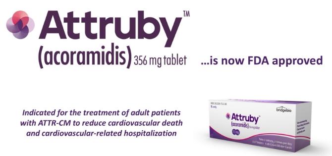 BridgeBio 的 Attruby 获FDA批准用于治疗罕见心脏病 - 知乎