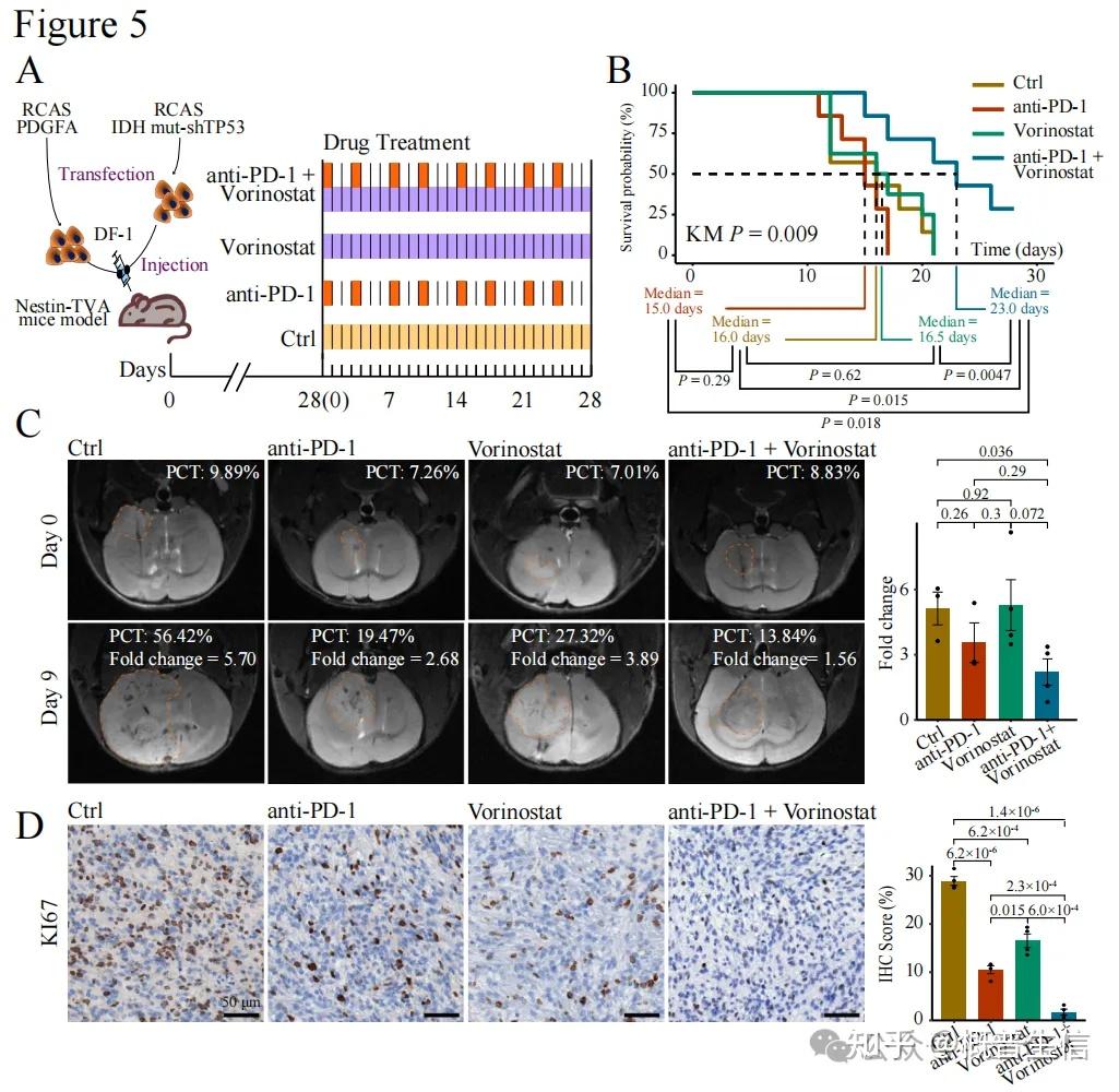 国产技术新突破！Science重磅，首个癌症eRNA图谱问世 - 知乎