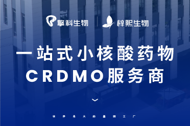 宣传片震撼发布丨一站式小核酸药物CRDMO服务商 - 知乎