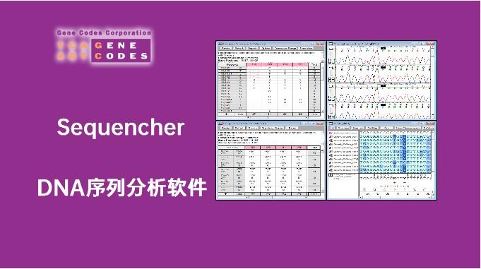 探索Sequencher软件的Connections功能 - 知乎