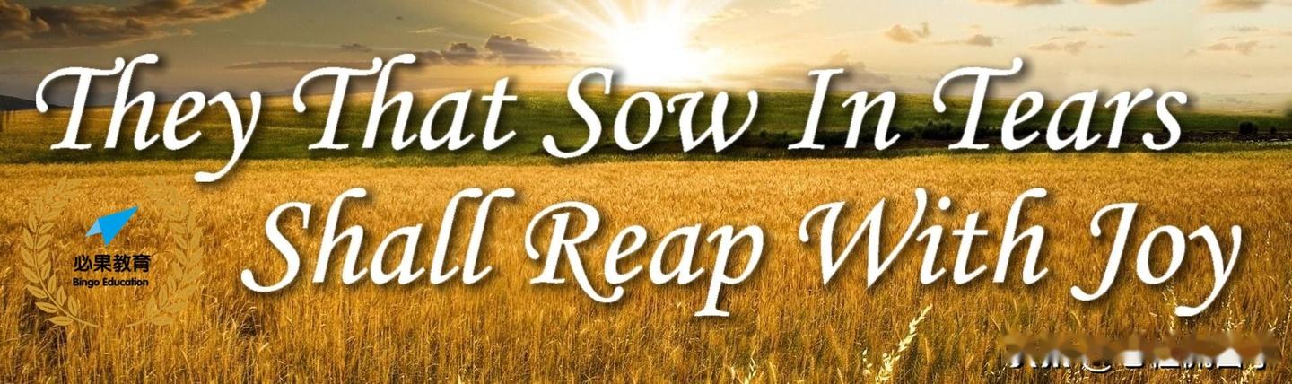 IS/IT Vs CS：信息系统/技术管理与计算机科学之比较 - 知乎