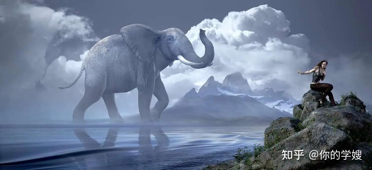 vast,massive,tremendous,immense,enormous,gigantic,giant这些词有什么区别？ - 知乎