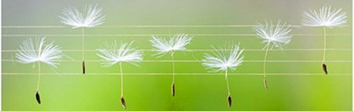 英语语法（230） what look/seem like ......；what seem/appear to be ...... - 知乎