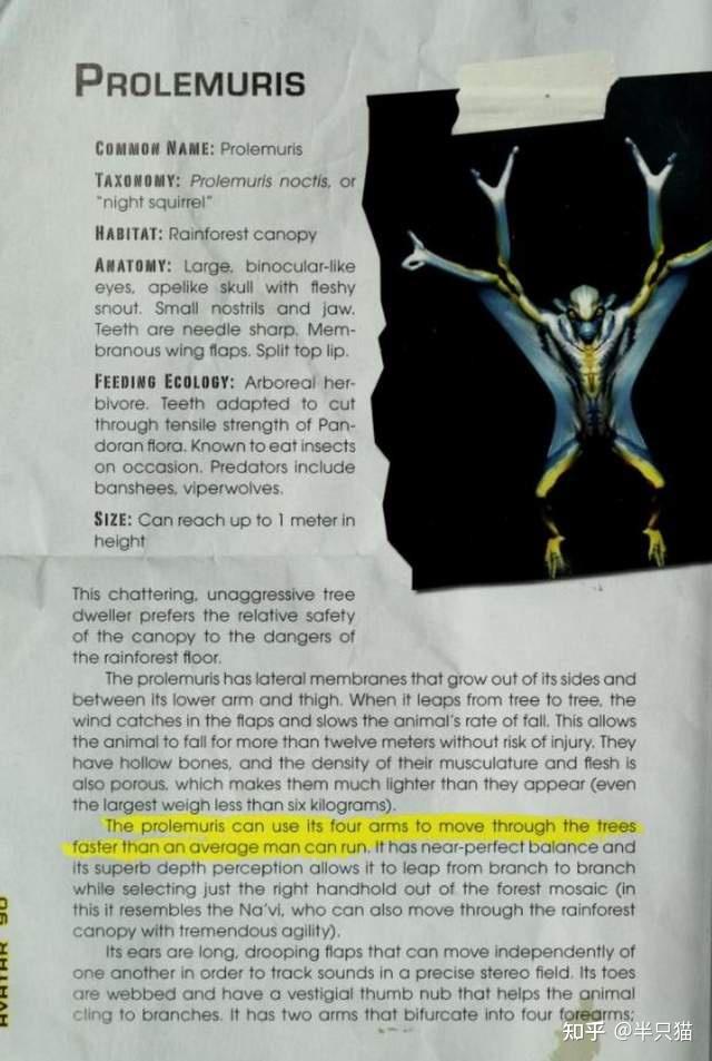 看阿凡达2需要看阿凡达1吗？ - 知乎