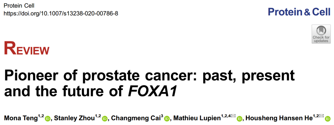 『珍藏版』Protein & Cell综述 | 前列腺癌中先锋转录因子FOXA1的过去、现在和未来 - 知乎