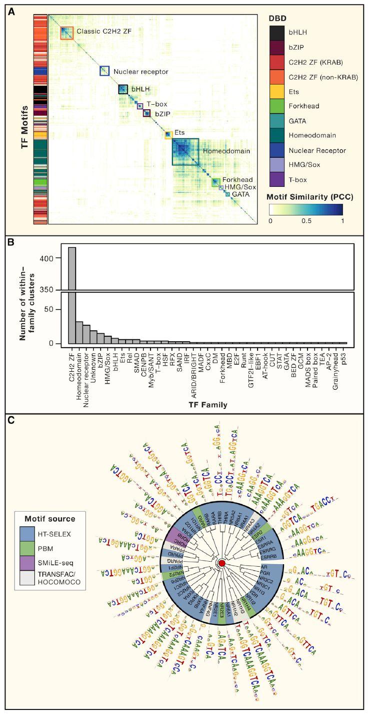 Cell重磅综述：关于人类转录因子，你想知道的都在这 - 知乎