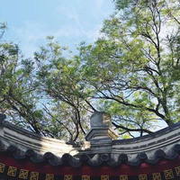 Scalable Brain Atlas使用 - 知乎