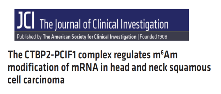 CLIP-Seq技术详解 - 知乎
