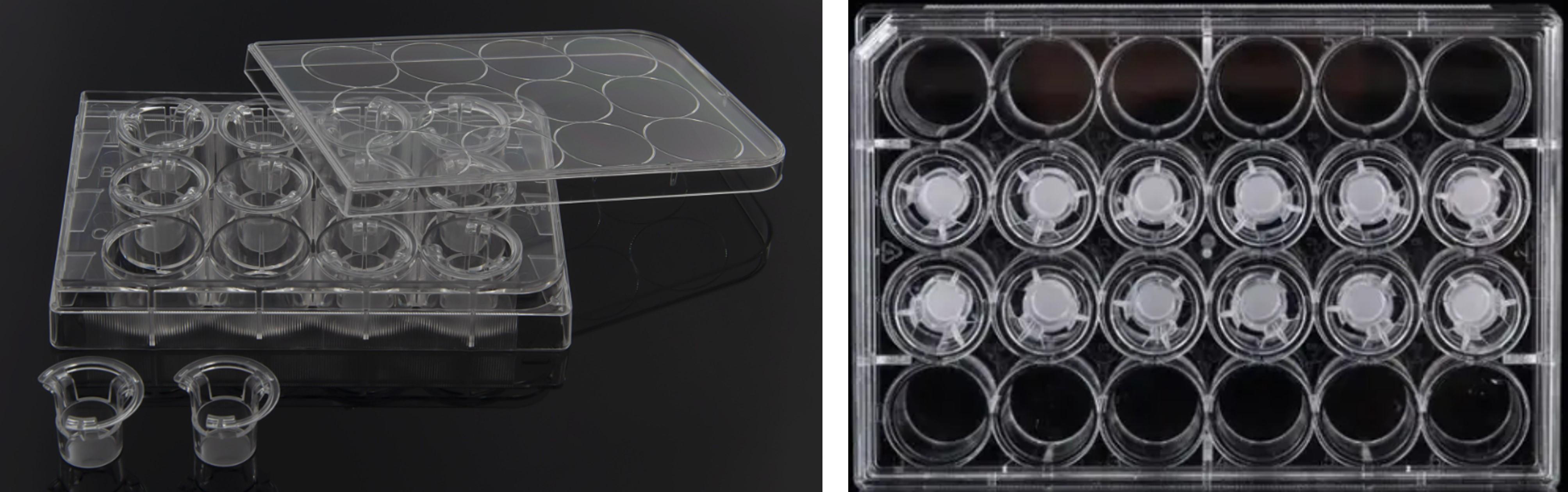 细胞功能实验那些事∣细胞迁移和侵袭（3）之Transwell实验 - 知乎