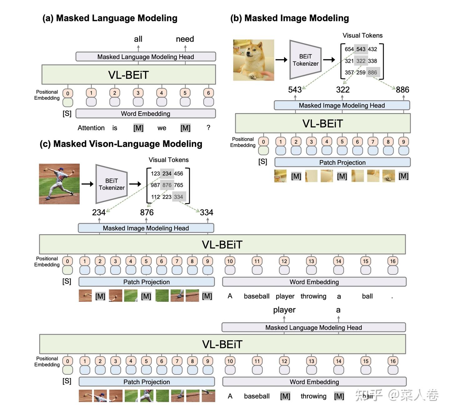 一文看完多模态：从视觉表征到多模态大模型 - 知乎