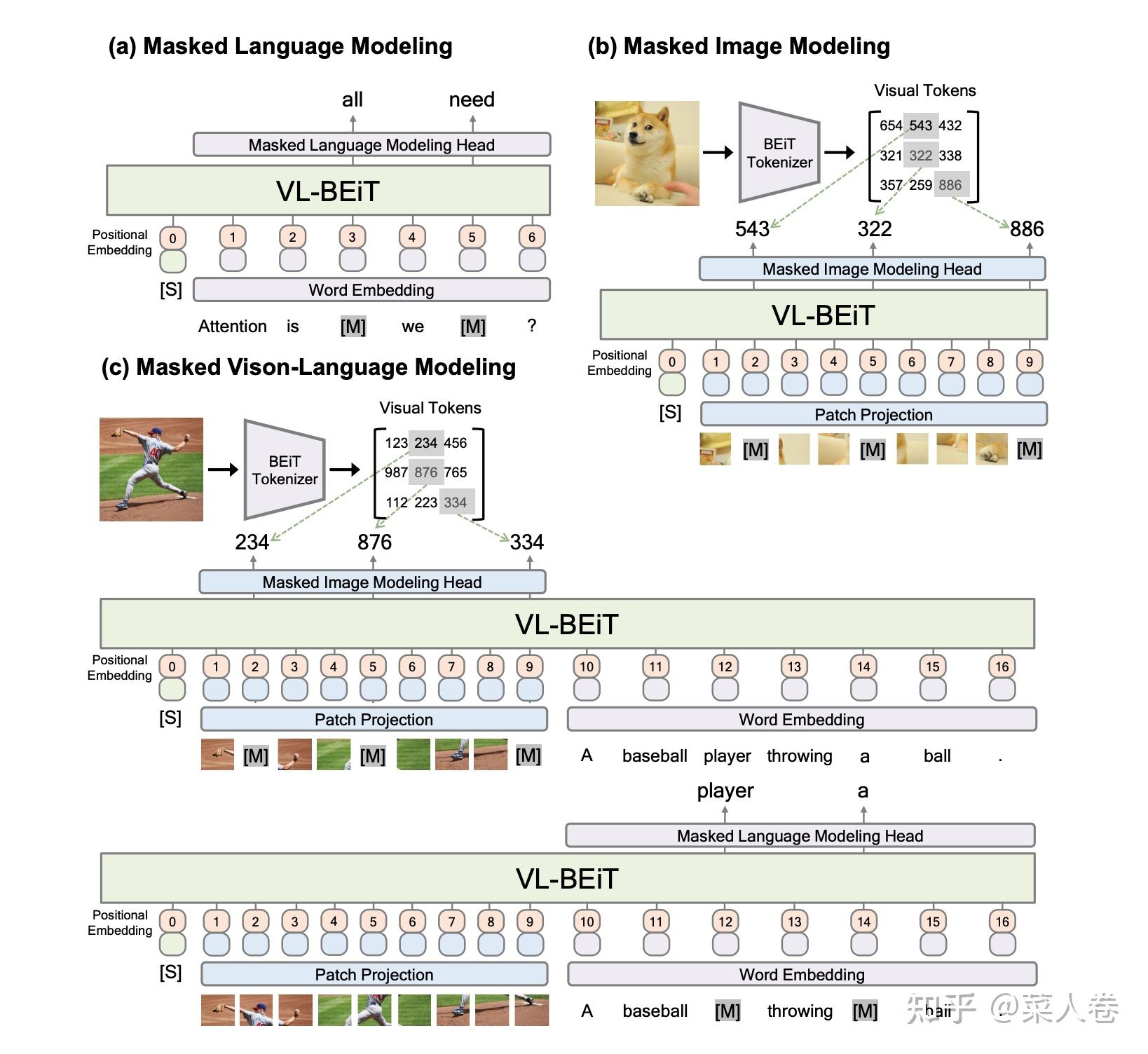 一文看完多模态：从视觉表征到多模态大模型 - 知乎