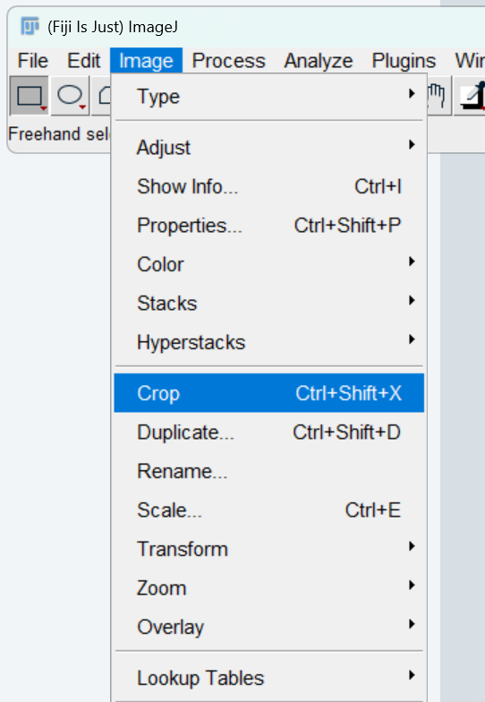 ImageJ丨如何设置特定大小的ROI（正的矩形、旋转的矩形）并裁剪ROI区域 - 知乎
