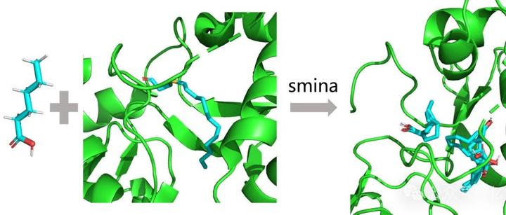 smina 软件进行蛋白小分子的分子对接（一）：已有结合其他先验配体信息的蛋白新配体分子对接 - 知乎