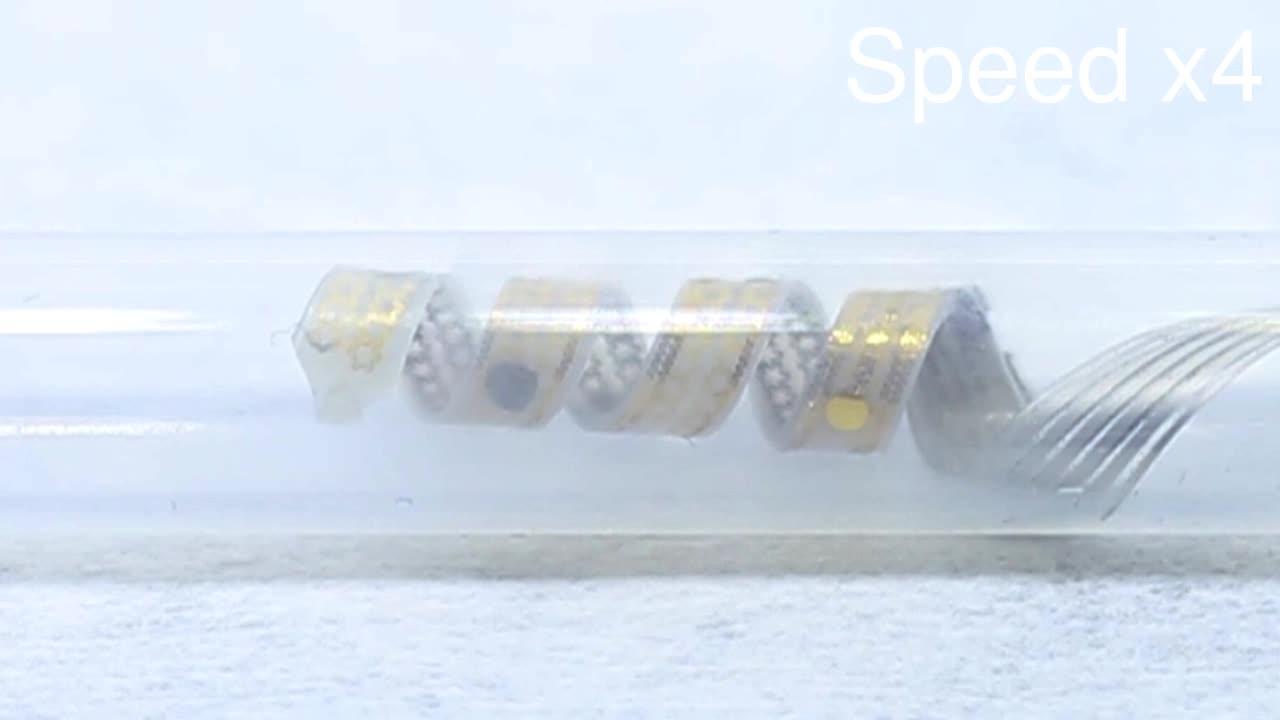 入耳式EEG，最接近消费级产品的脑机接口形态？(Nature论文简介）