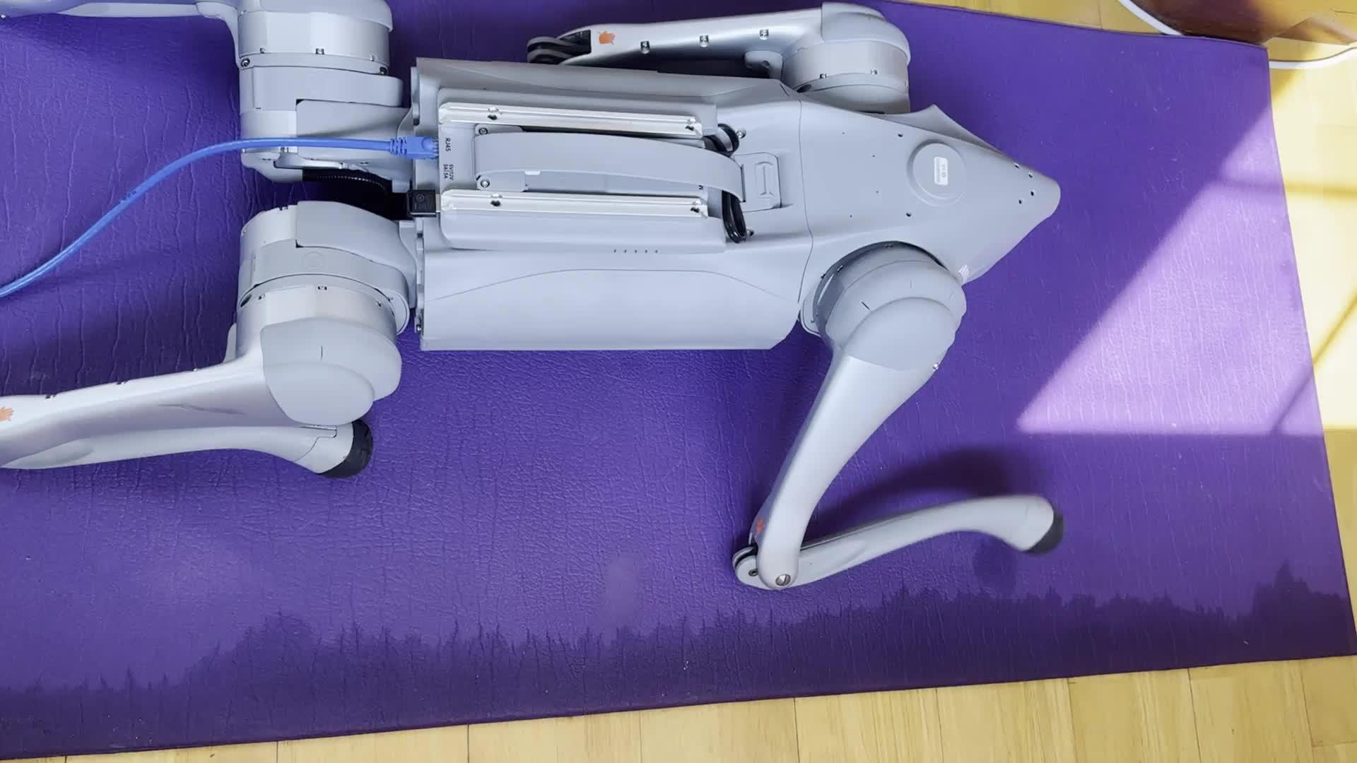 宇树机器狗 python 底层运动控制 - 知乎