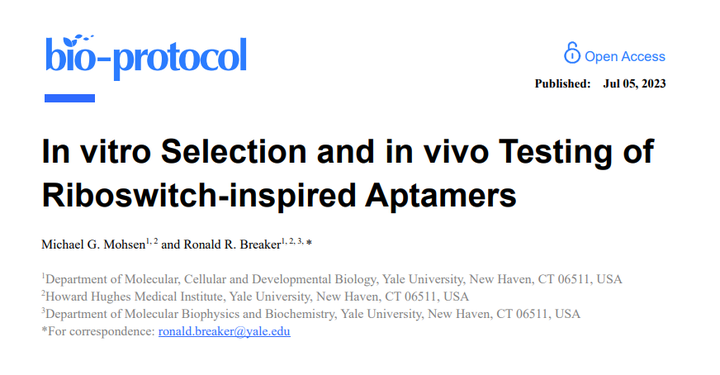 揭开细胞的奥秘：基于核糖开关启发的适配体的体外筛选与体内验证 - 知乎