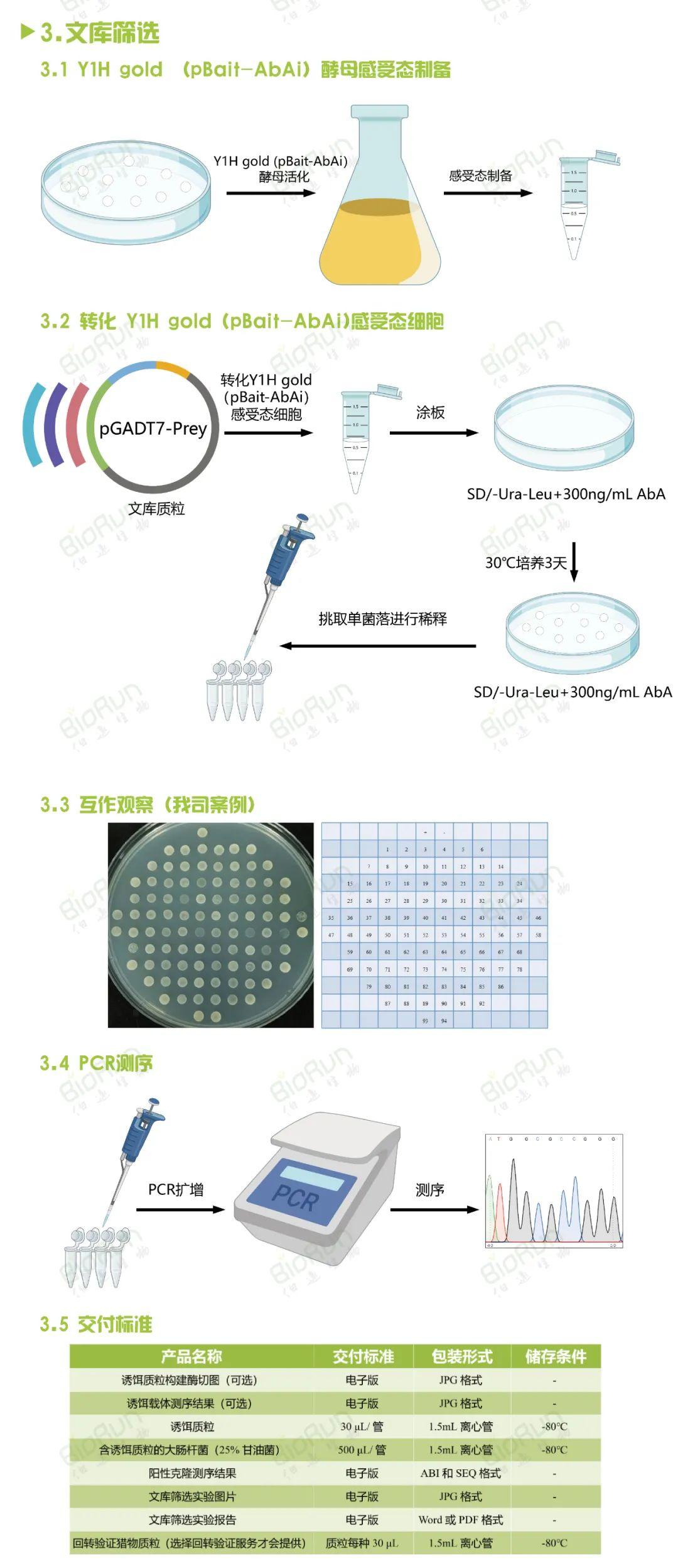 【业务介绍】酵母建库+酵母筛库 - 知乎