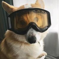 超出tokenizer：Dynamic Chunking for End-to-End Hierarchical Sequence Modeling - 知乎