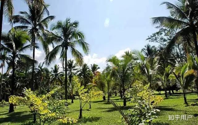 求推荐自驾游线路 西安—云南方向? - 知乎