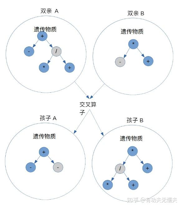 遗传算法原理介绍及python代码实现 知乎
