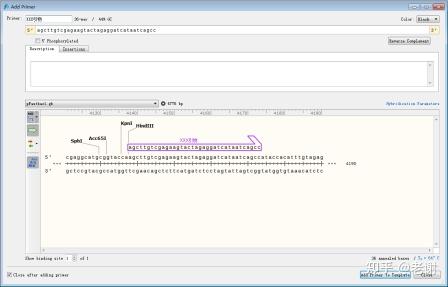 SnapGene安装和使用教程 - 知乎