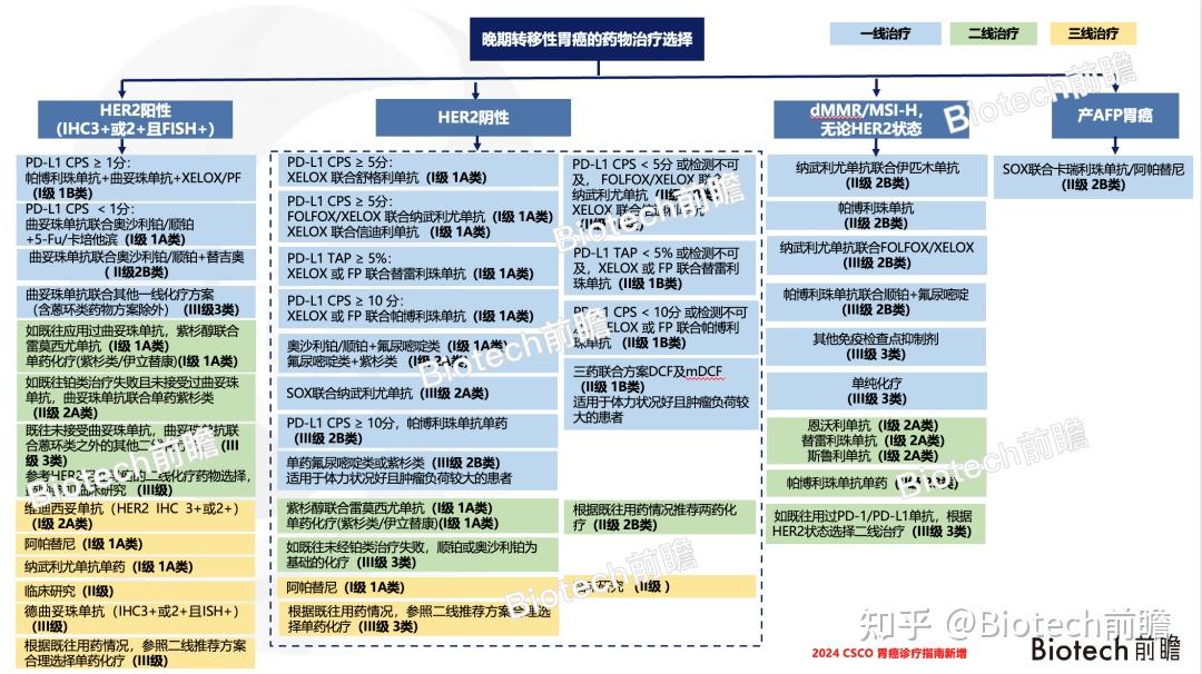 2025CSCO胃癌指南丨Her2表达的临床新定义，从两分类到四分类 - 知乎