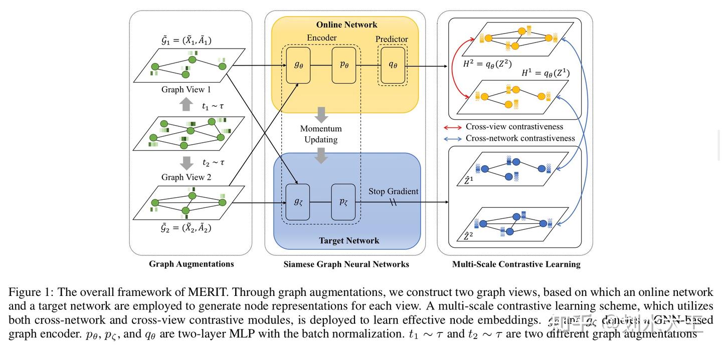 《multi-scale contrastive Siamese Networks for self-supervised graph ...