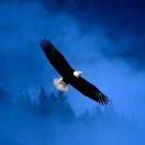 戴蒙德的世代交叠模型(Overlapping-generations model，OLG) - 知乎