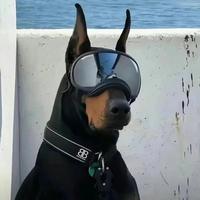 尼康Z52+85 1.2S人像实拍：逆光到夜景的全能表现 - 知乎