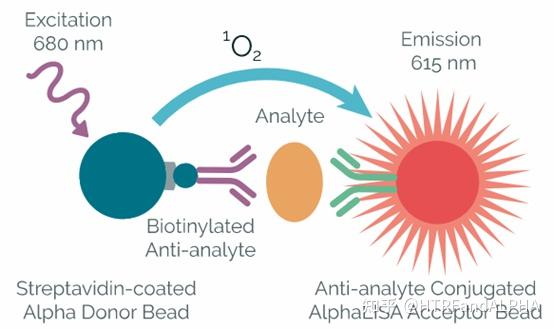 Alpha均相免疫检测技术——再也不用洗板了 - 知乎