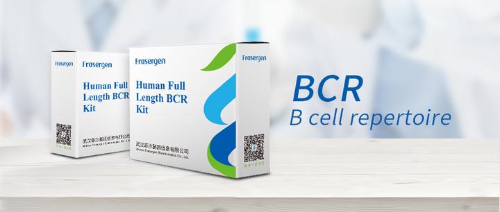 BCR七大应用场景经典文章 - 知乎