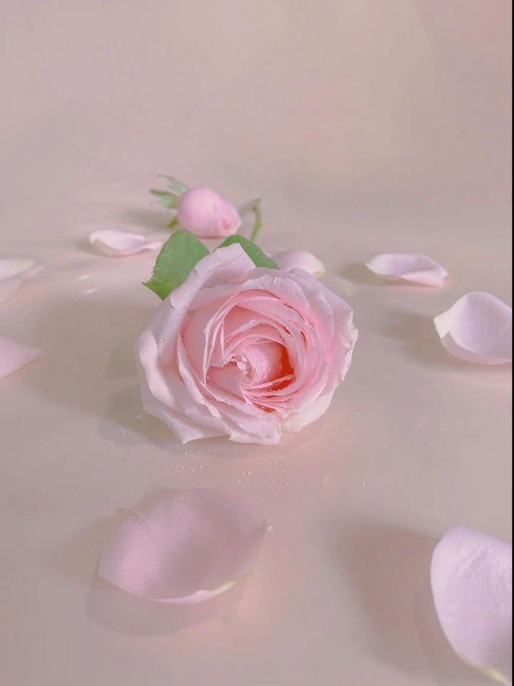 适合发朋友圈的高级文案： 知乎