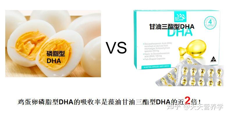 如何补充DHA不会出错？科普篇 - 知乎
