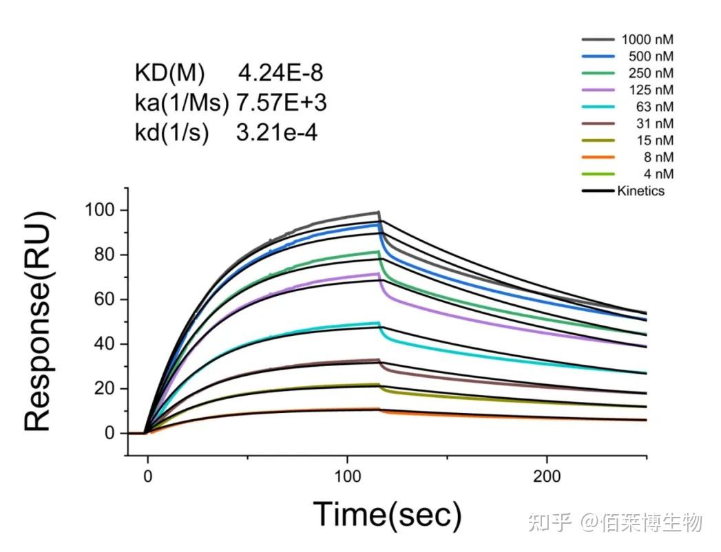 蛋白与蛋白亲和力检测(SPR法)实验服务 - 知乎