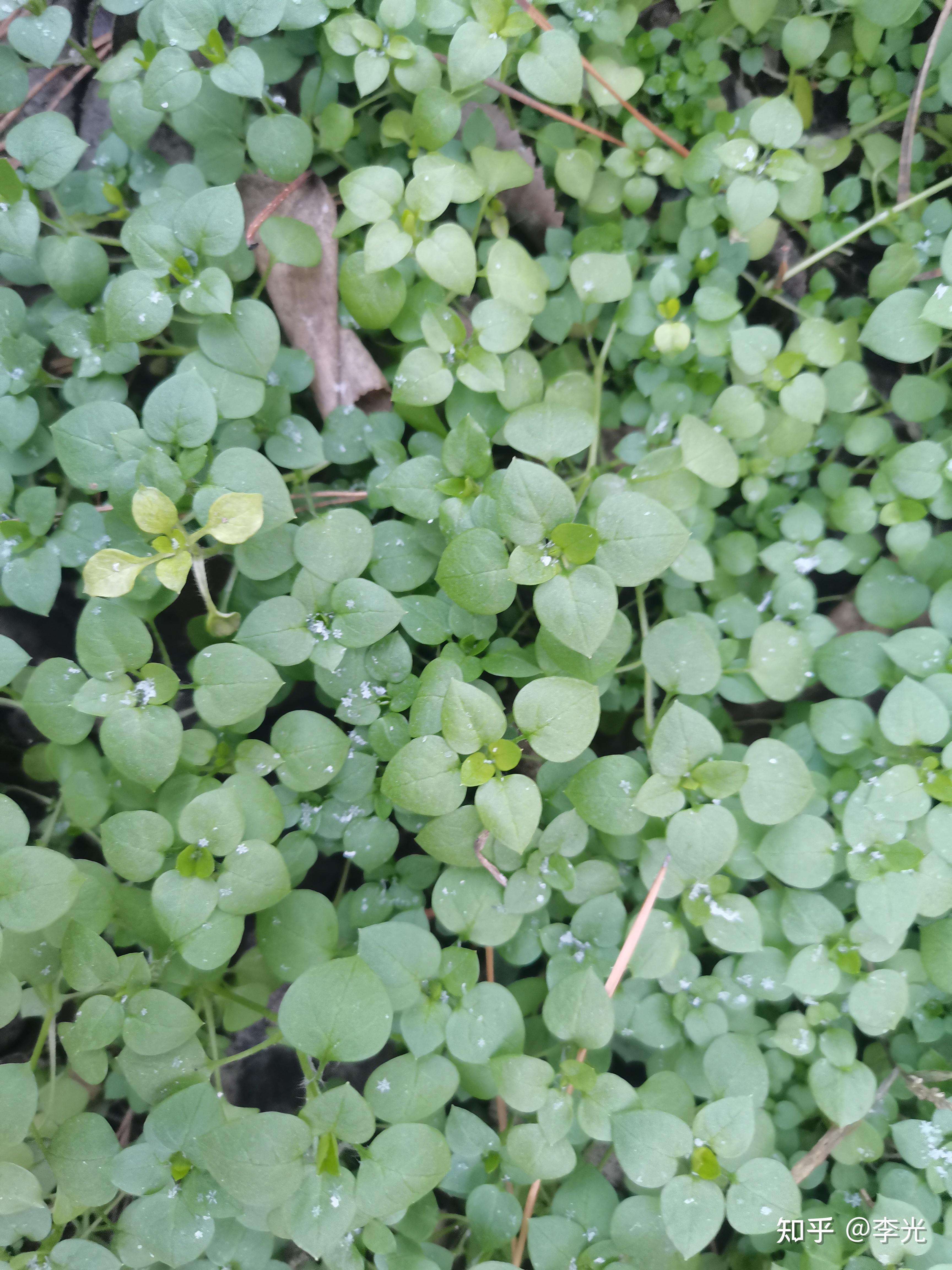 俄语学习笔记 837 - 知乎