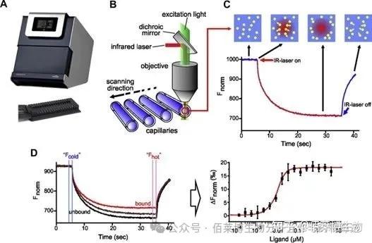 免纯化MST分享：一文读懂没有纯化的蛋白如何进行分子互作实验(细胞篇) - 知乎