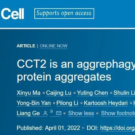 浙江大学《Cell》，合作发文发现新型聚集体自噬受体CCT2介导固态蛋白聚集体的清除 - 知乎